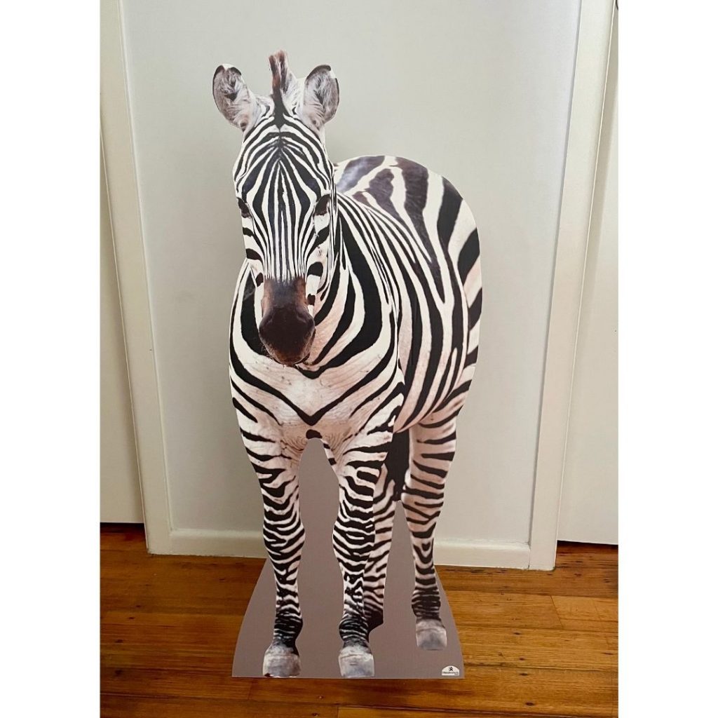 Zebra Front On Cutout - Peachy Keen Events
